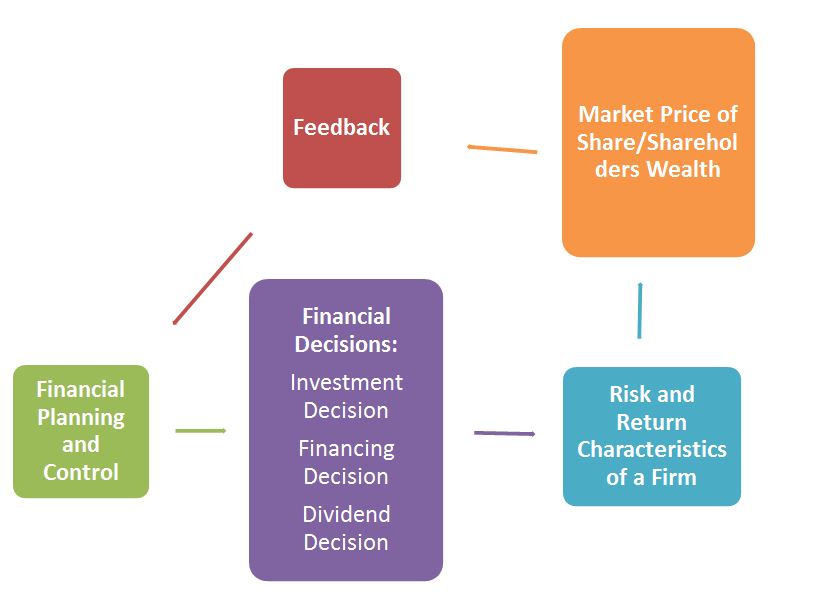 Financial Management Introduction Part 1 BBA mantra
